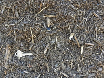 Shrimp and Crab Compost - Hilton Landscape Supply