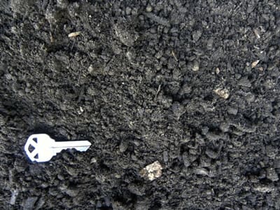 Forest Loam - Hilton Landscape Supply