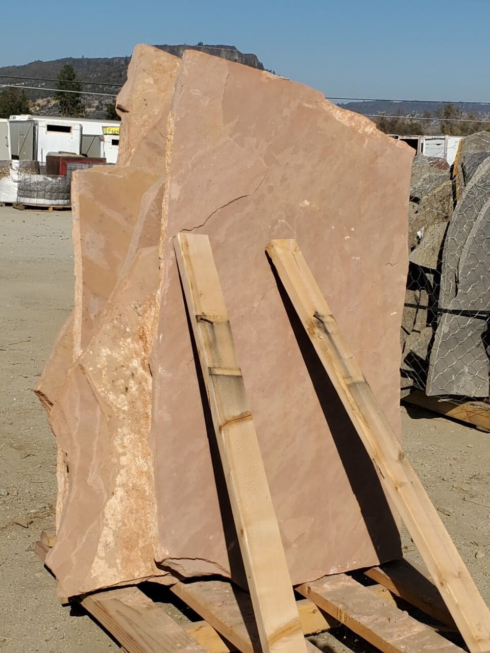 Arizona Rose - Hilton Landscape Supply