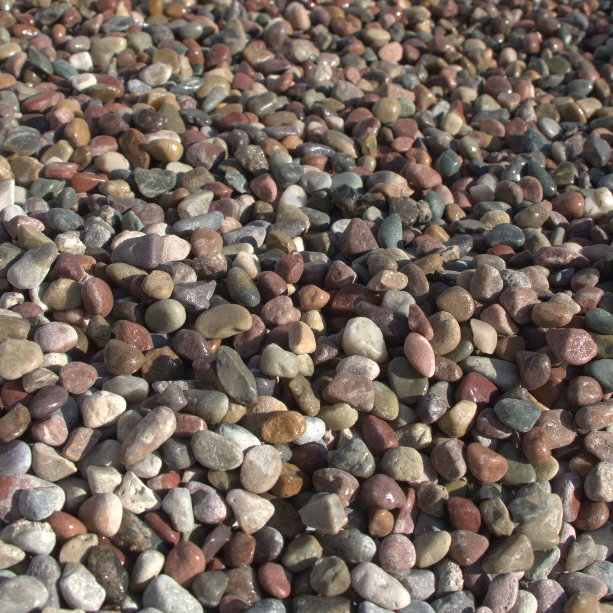 Pami Pebble 1/2" - Hilton Landscape Supply
