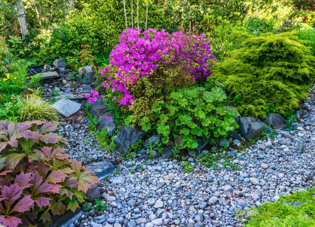 Build a Dry Stream Bed to add Beauty to Your Backyard - Southern Oregon