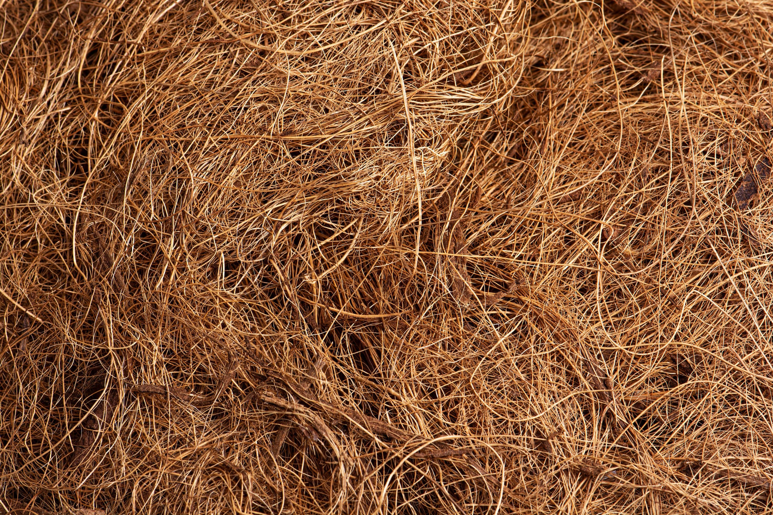 Uses for Coco Coir in Your Gardening - Hilton Landscape Supply