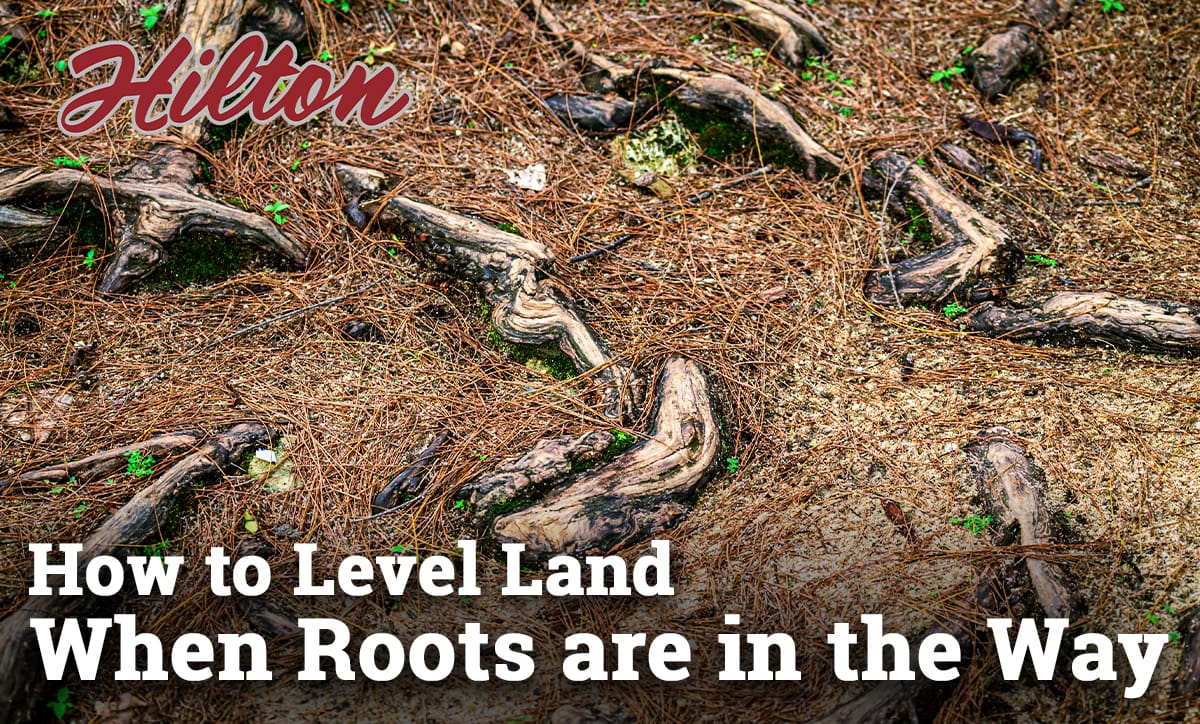 How to Level Land When Roots are in the Way - Hilton Landscape Supply