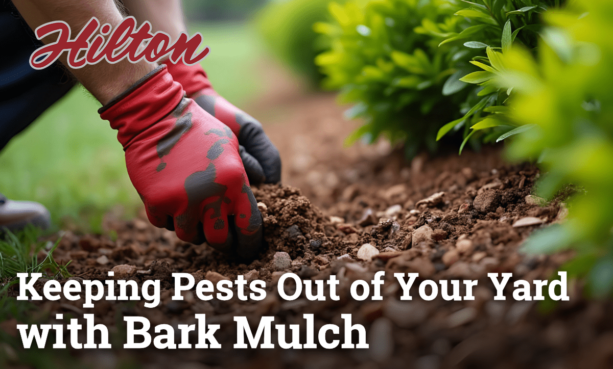 Keeping Pests Out of Your Yard with Bark Mulch - Hilton Landscape Supply