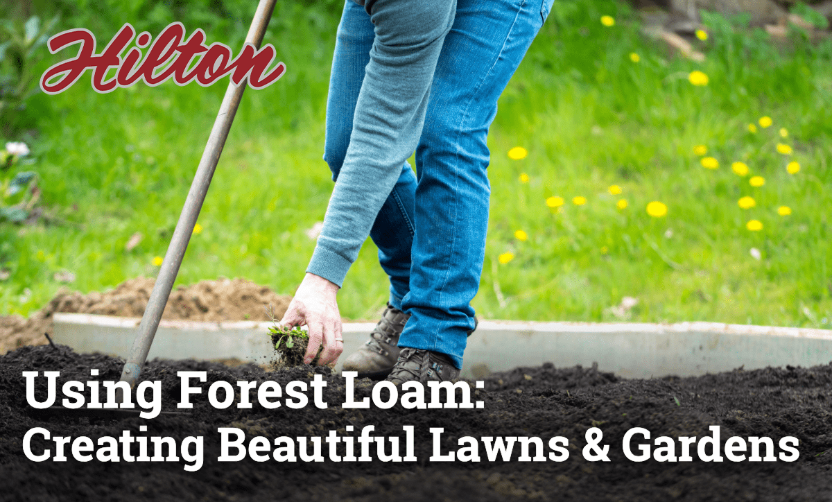 Using Forest Loam: Creating Beautiful Lawns and Gardens - Hilton ...