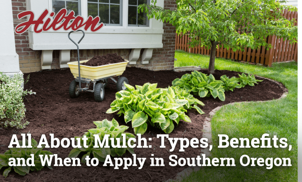 All About Mulch: Types, Benefits, and When to Apply in Oregon - Hilton ...